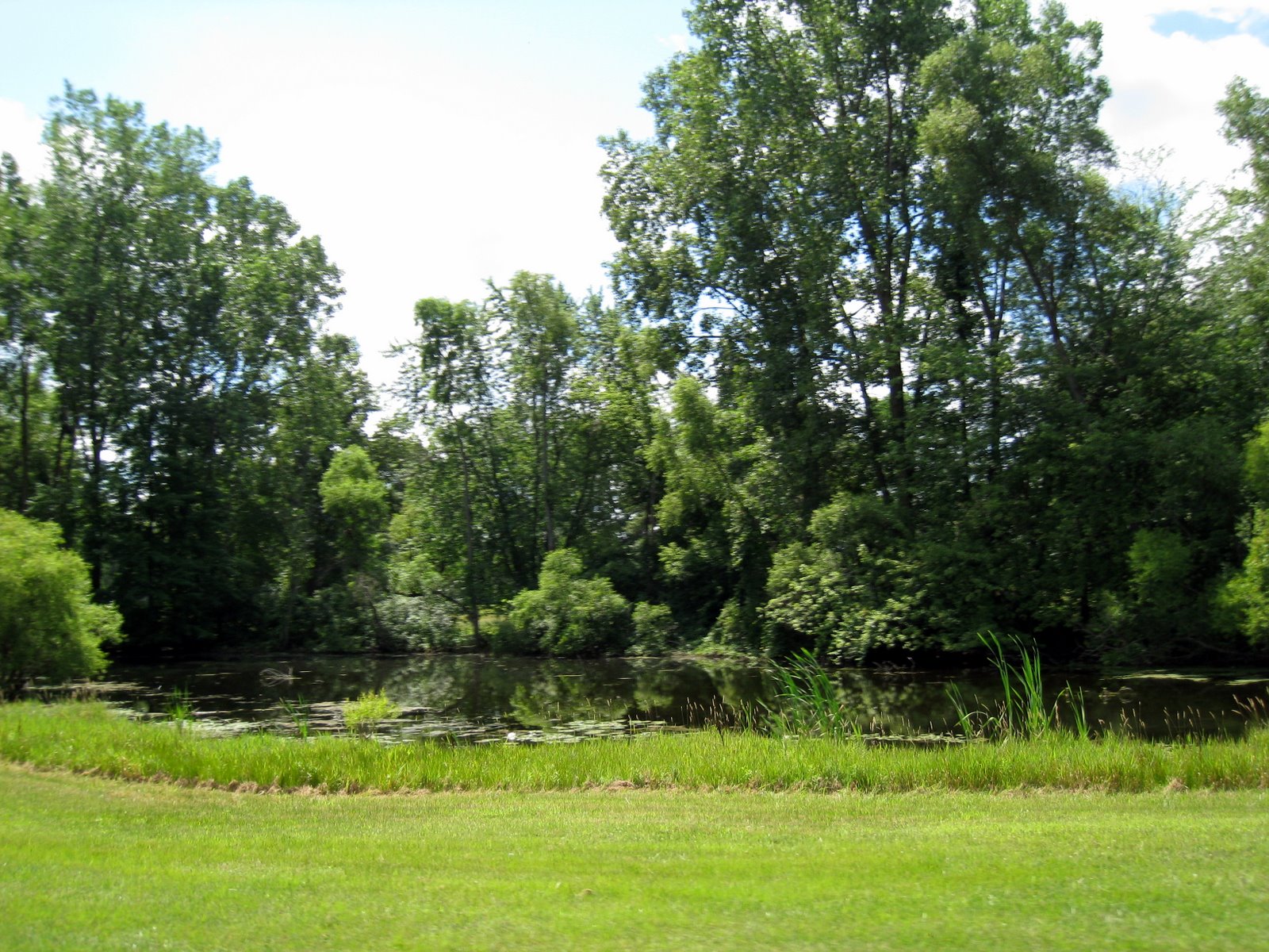 Locations Hub - Ivory Farms