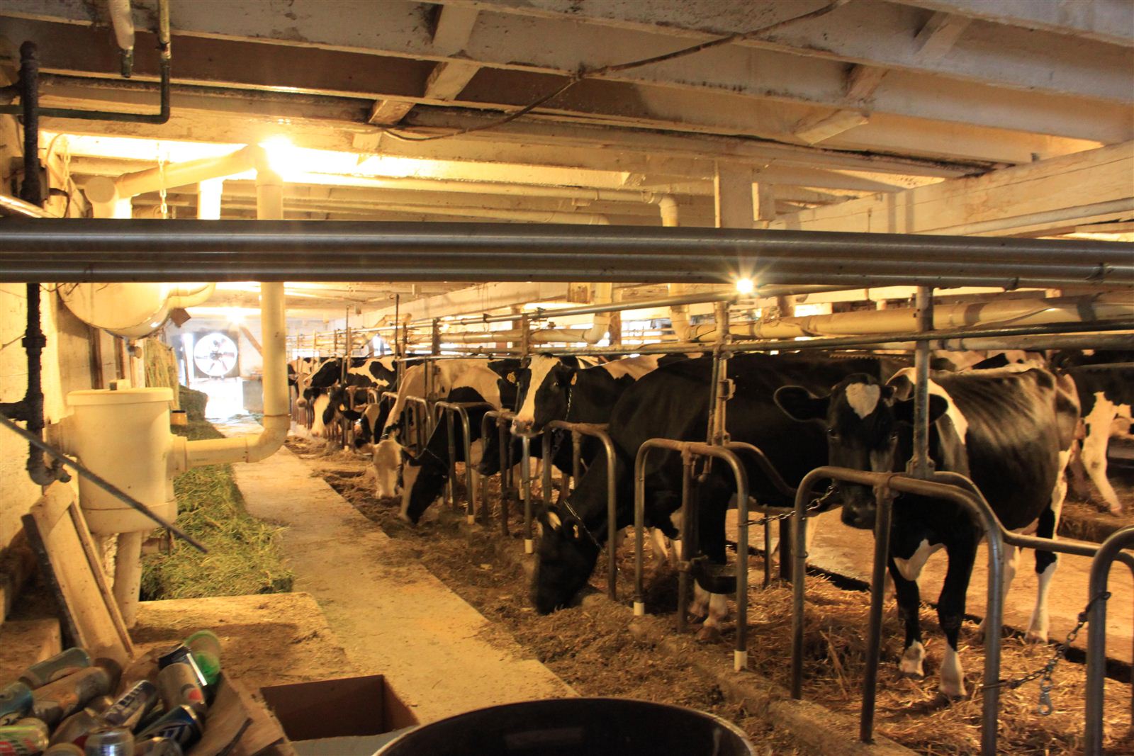 Locations Hub - Doug Gallagher Dairy Farm