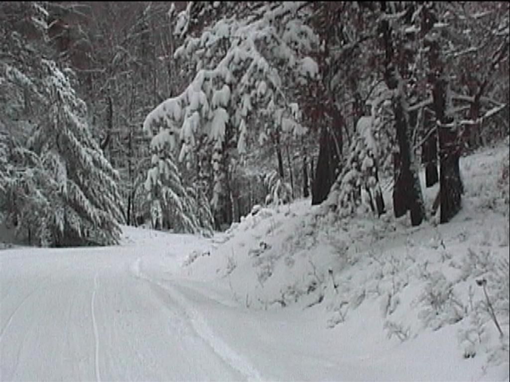 Locations Hub - Canada Creek Ranch