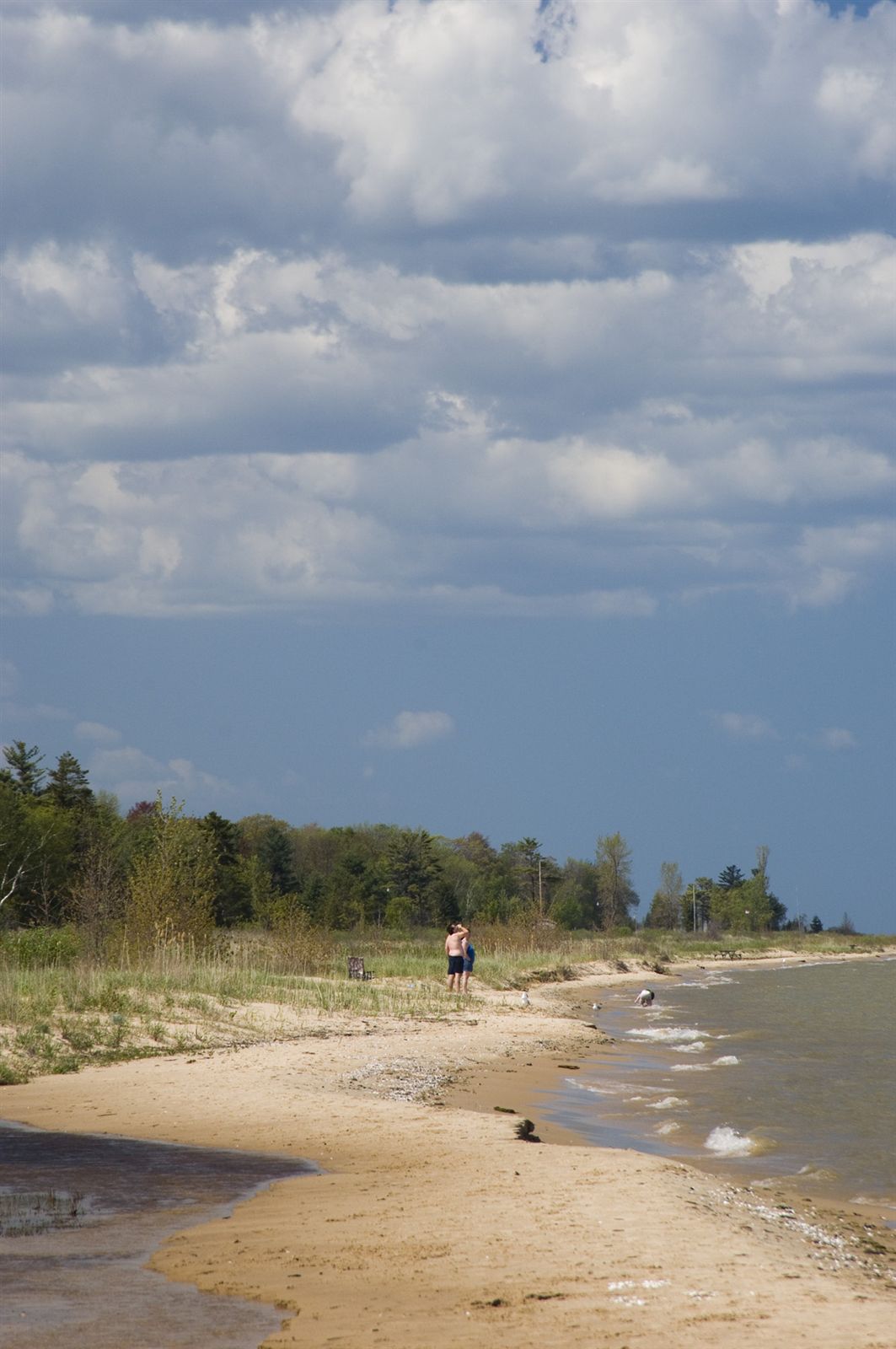 Locations Hub - Three Mile Beach Roadside Park