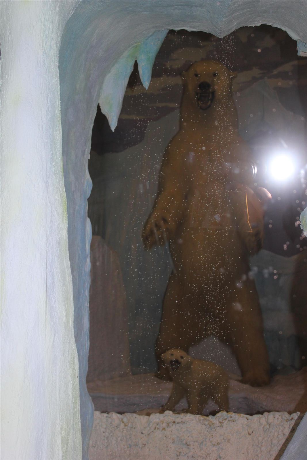 Locations Hub - Call of the Wild stuffed animal museum