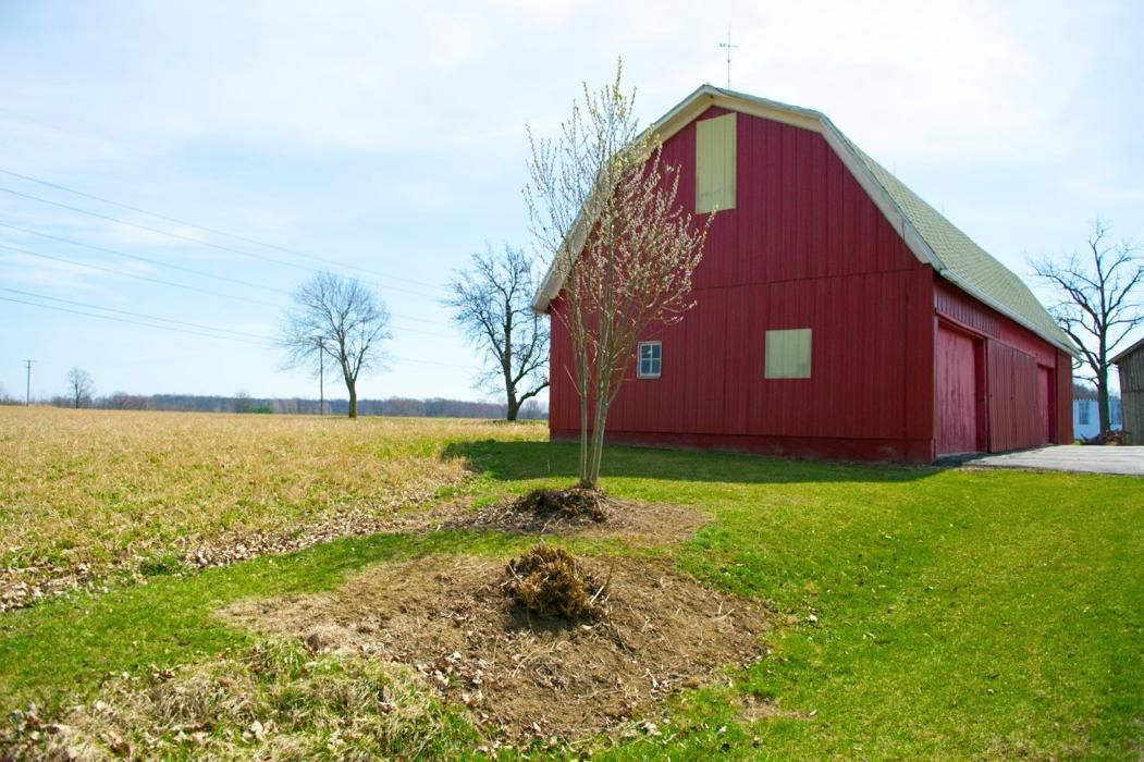 Locations Hub - Leon's Farm