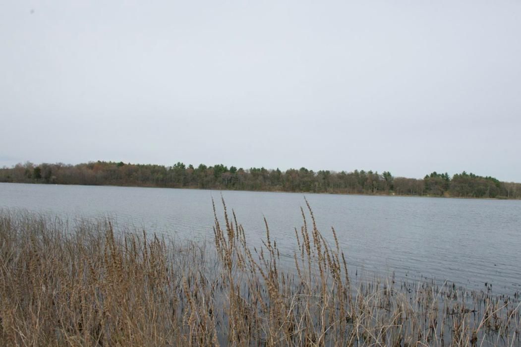 Locations Hub - Cedar Lake