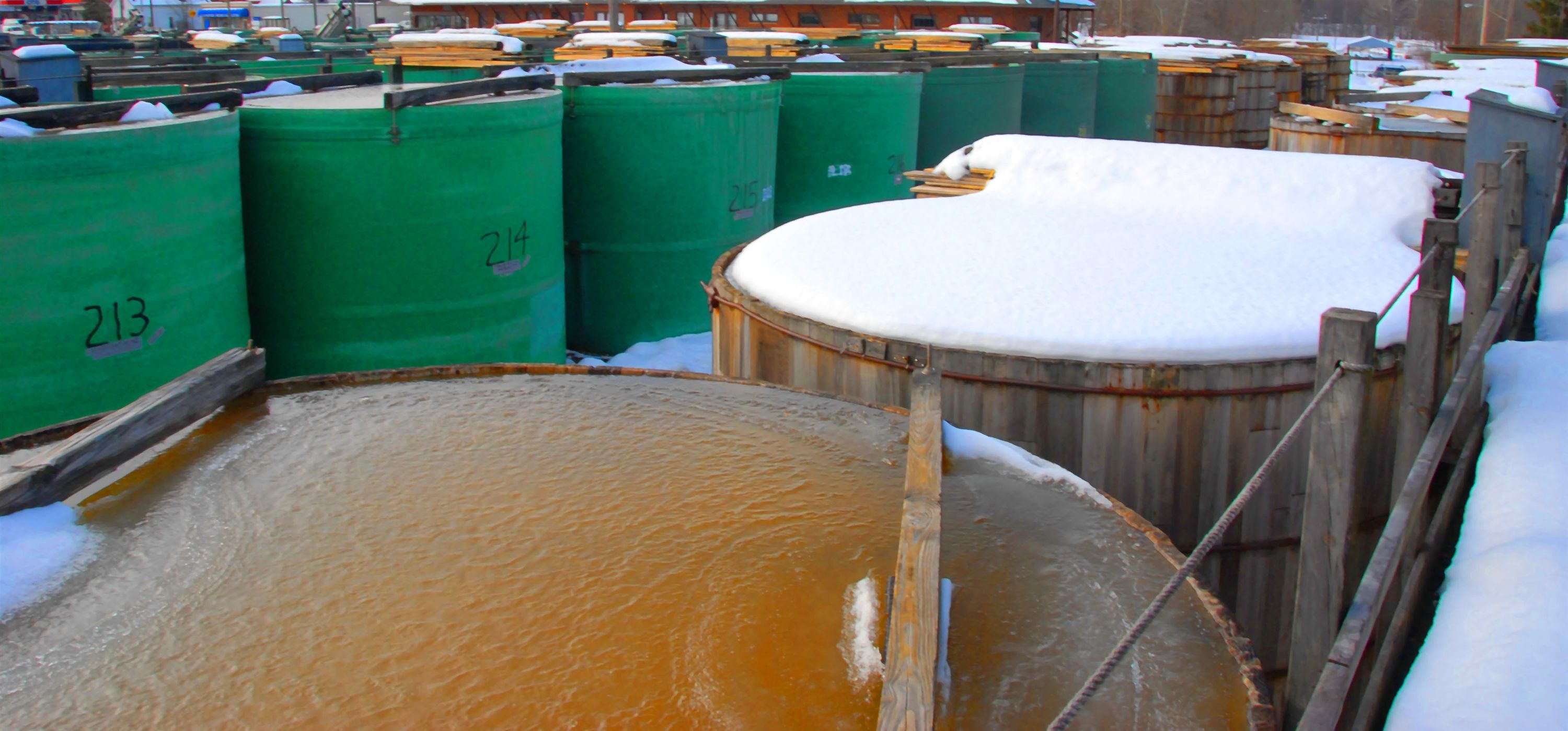 Locations Hub - Freestone Pickle Company