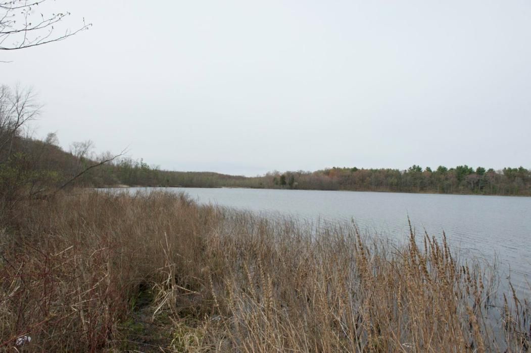 Locations Hub - Cedar Lake