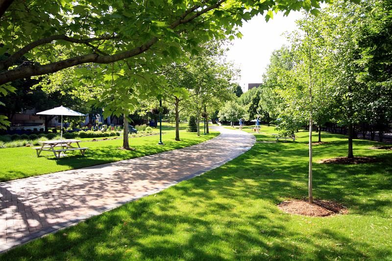 Locations Hub - Detroit Medical Center