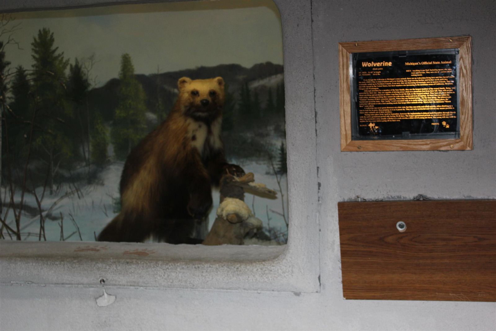 Locations Hub - Call of the Wild stuffed animal museum