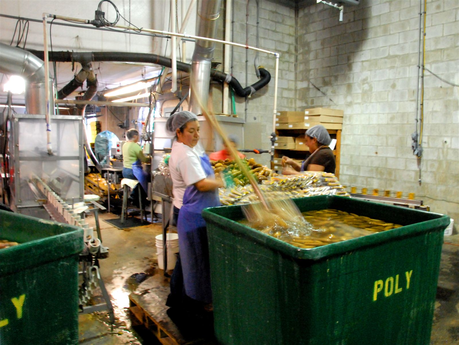 Locations Hub - Freestone Pickle Company