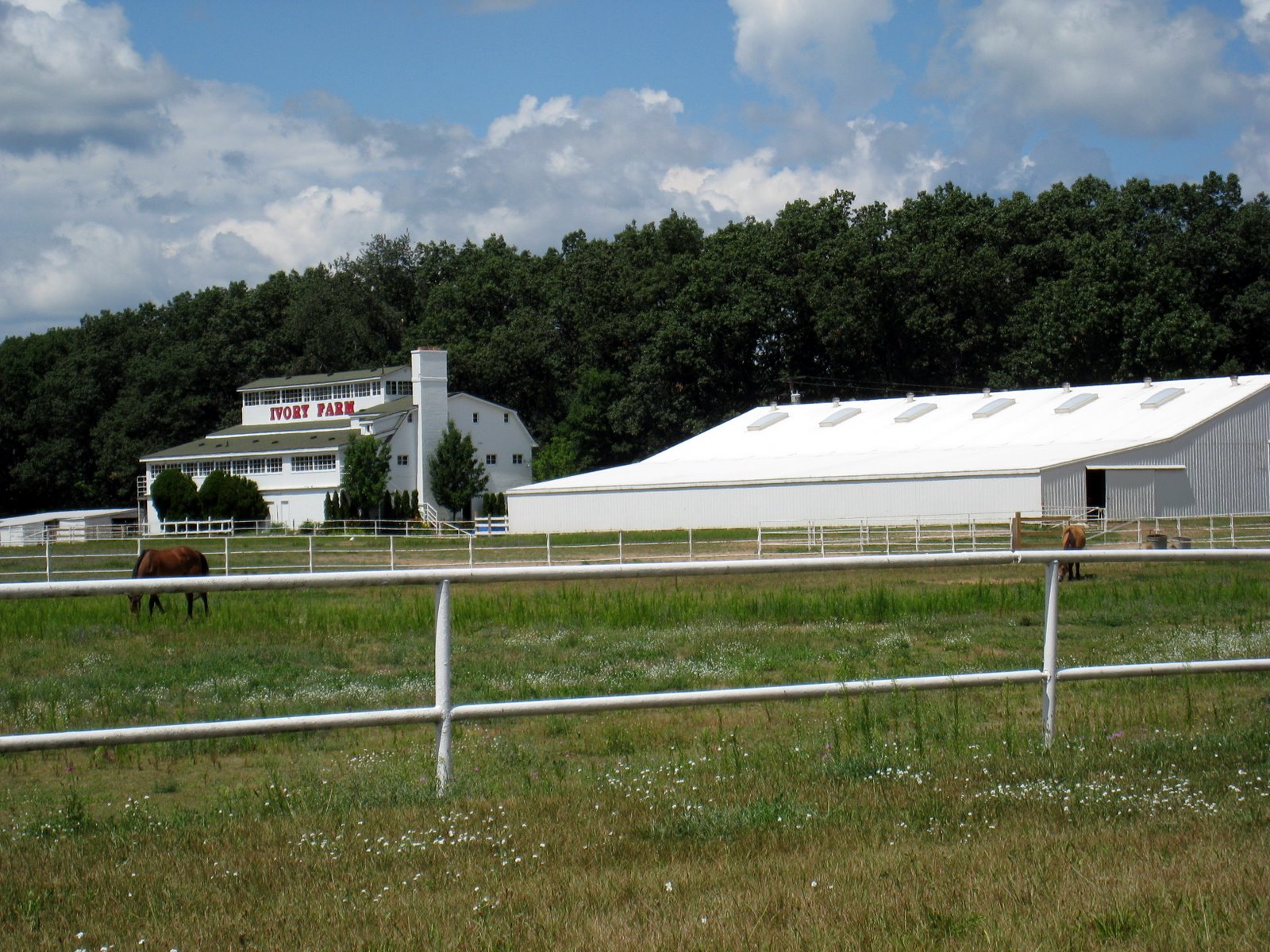 Locations Hub - Ivory Farms