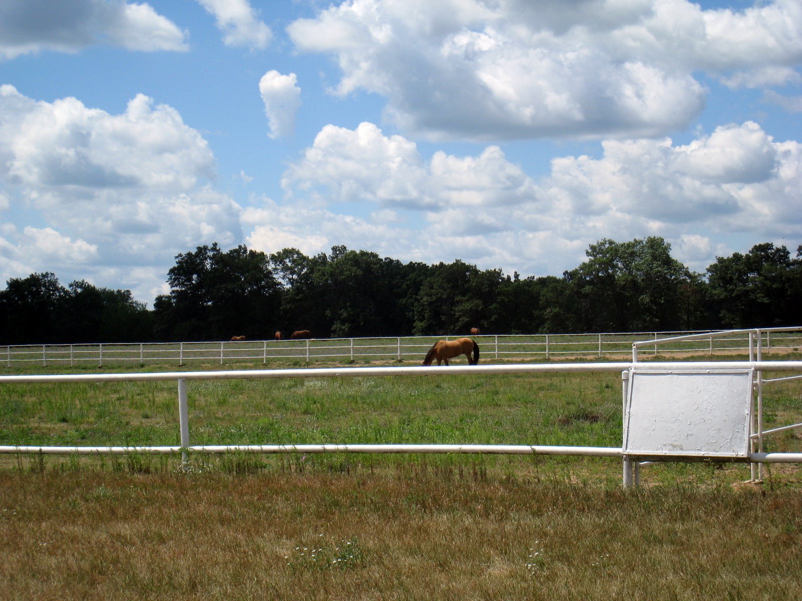 Locations Hub - Ivory Farms