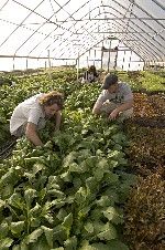 Locations Hub - MSU Student Organic Farm